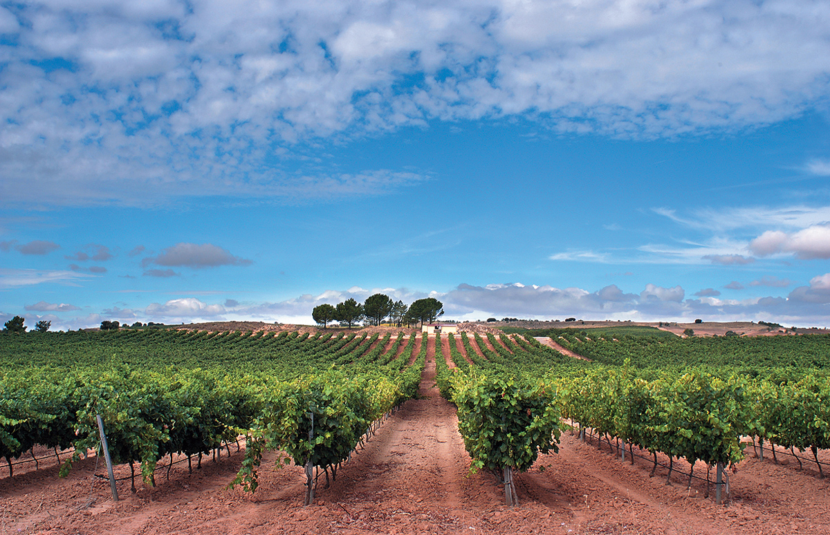 Ronald de Groot over Ribera del Duero en Bodegas Portia