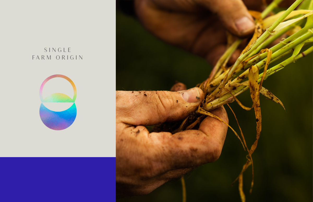 Mark Reynier vertelt over bijzonder terroir project Waterford Whisky