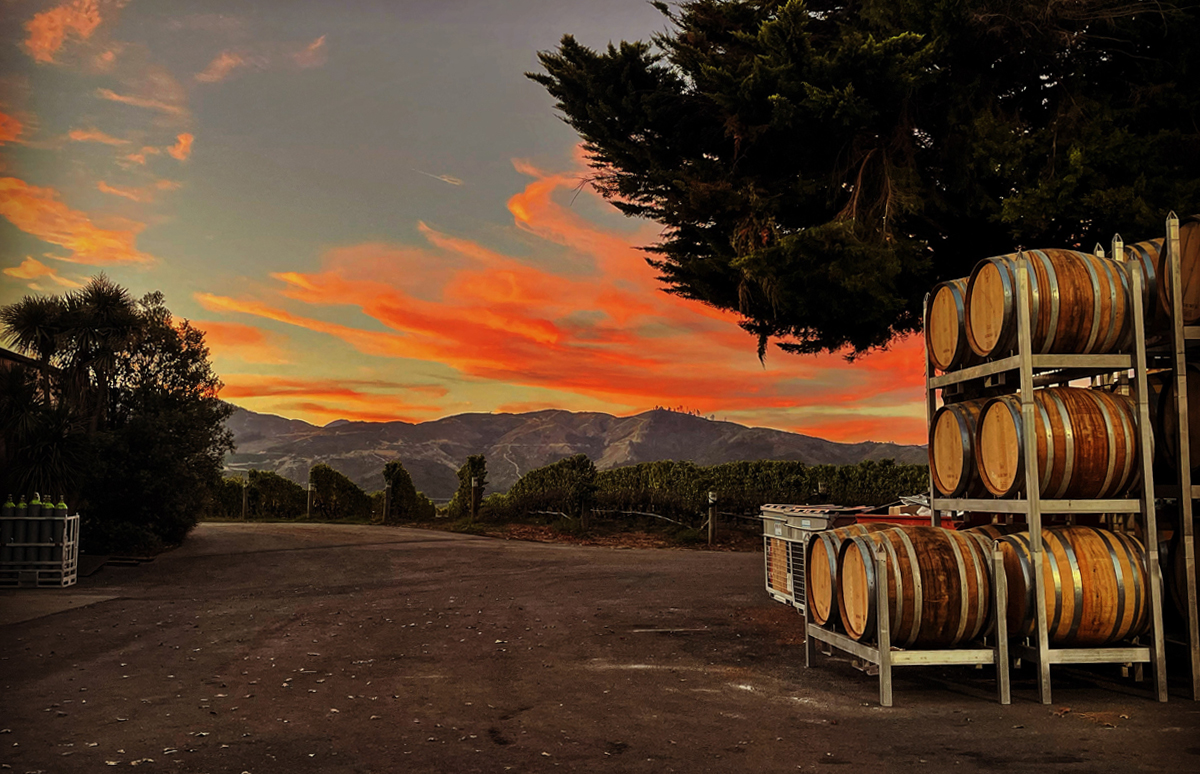 Hunter’s Sauvignon Blanc, een oude liefde uit Nieuw-Zeeland